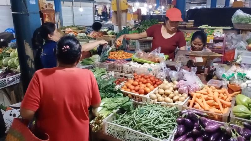 Dampak Kemarau Panjang, Harga Cabai Merangkak Naik | Bali Tribune Dampak Kemarau Panjang, Harga Cabai Merangkak Naik | Bali Tribune